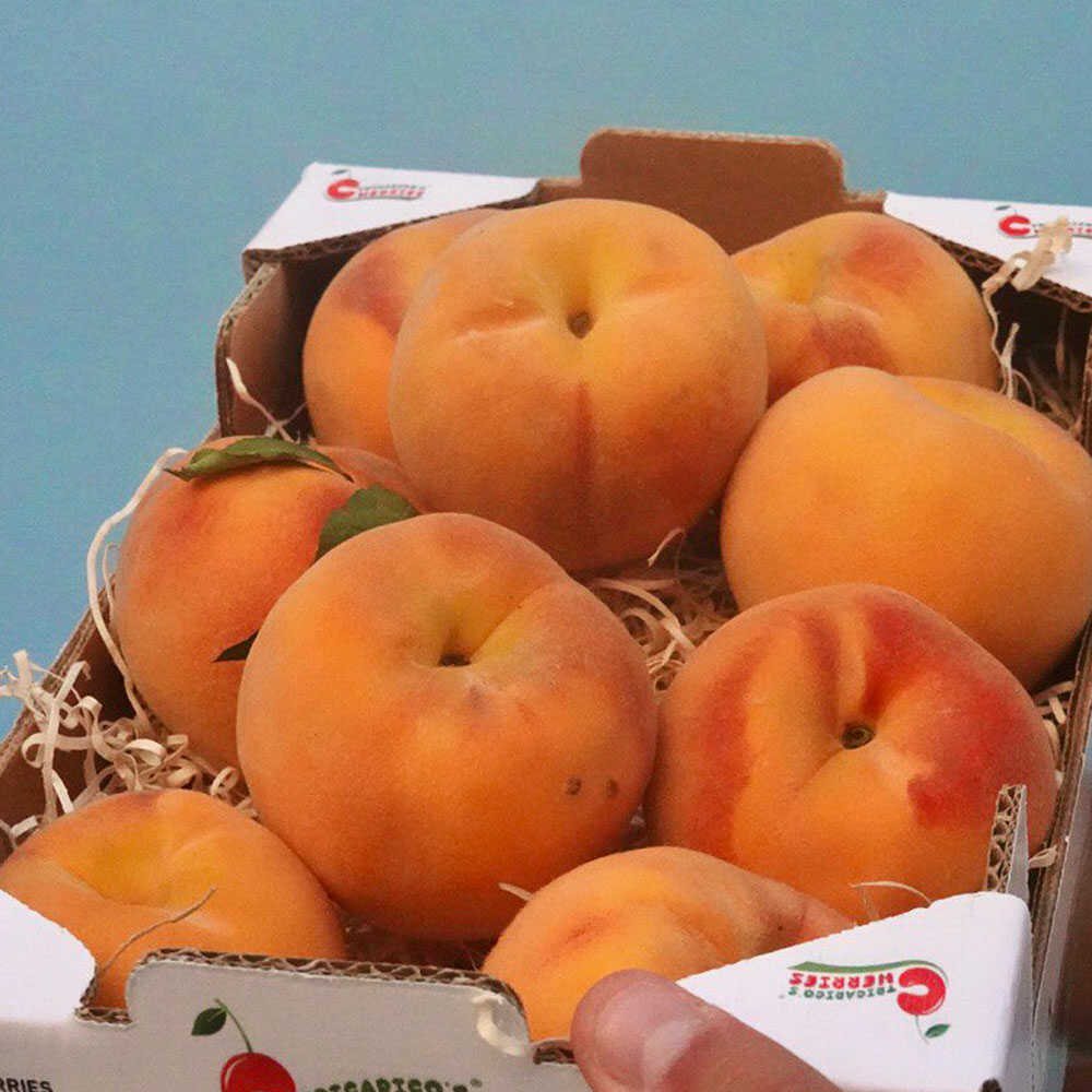 Percoche: cosa sono e dove acquistarle - Tricarico's Cherries